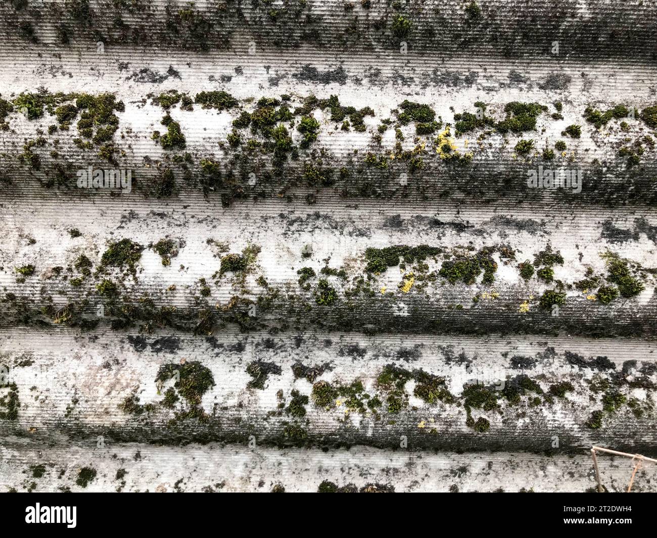 Texture of old dilapidated voluminous gray slate from asbestos located ...