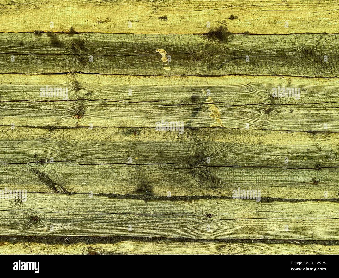 texture, background. natural, processed yellow wood with sawdust ...
