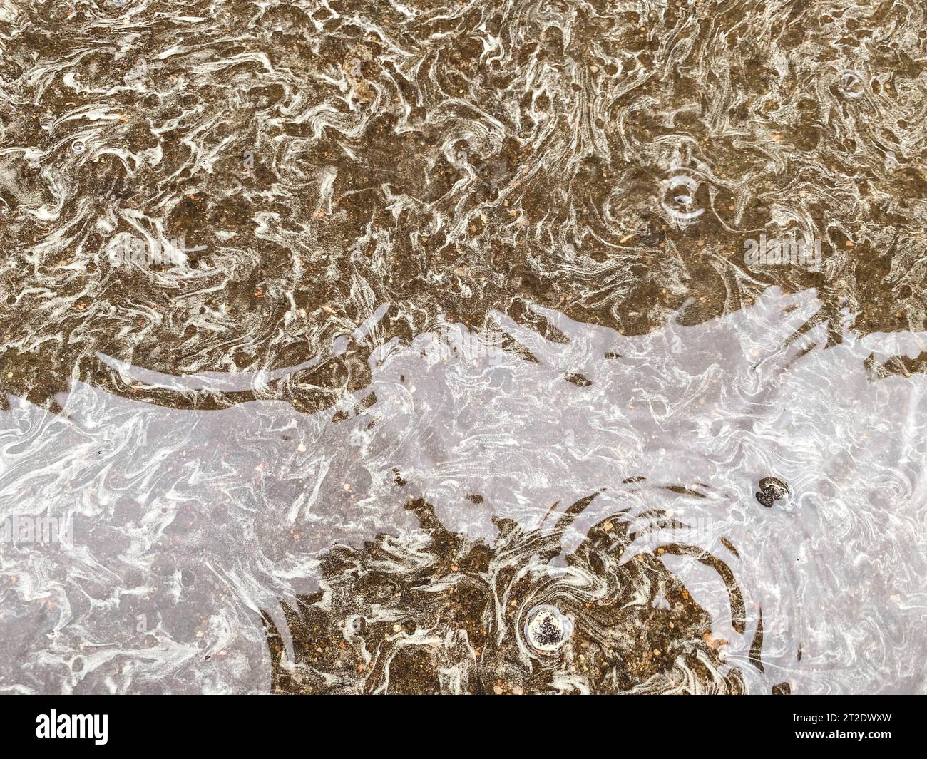 texture, epoxy mixed in layers. white and gold resin paint, abstract ...