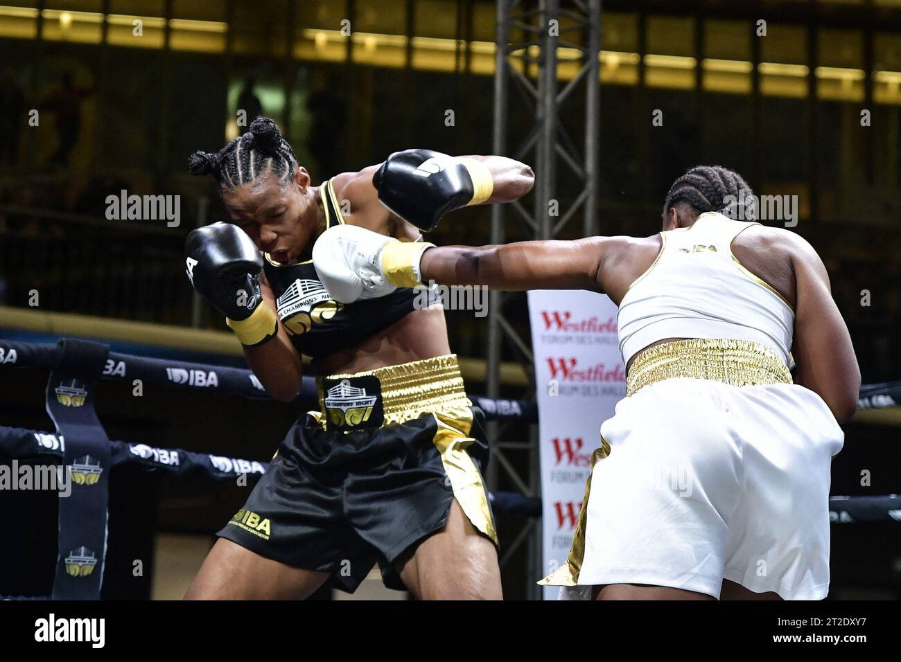 Paris, France. 18th Oct, 2023. French boxer Davina Michel (L) competes ...