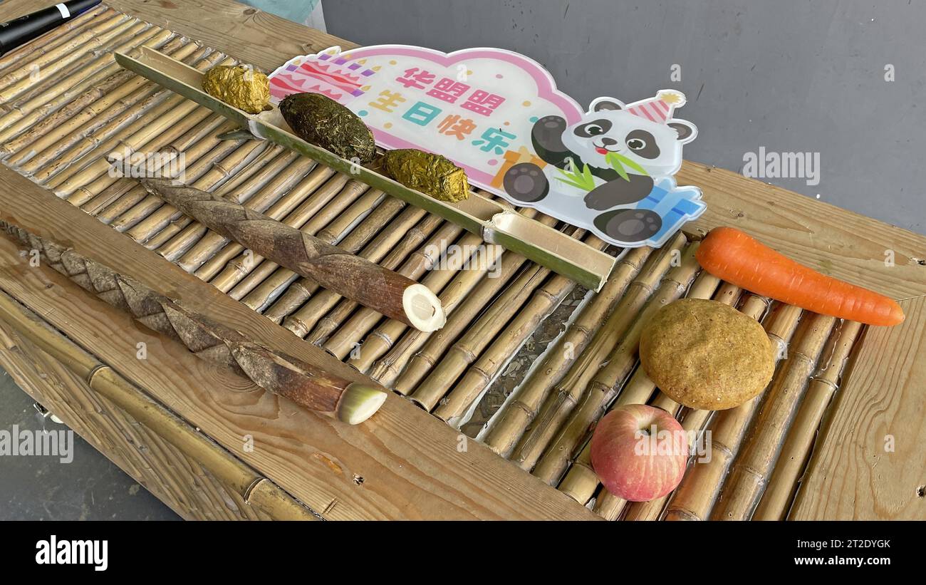 The giant panda Meng Meng celebrates its 4th birthday at Wuhan Zoo in ...