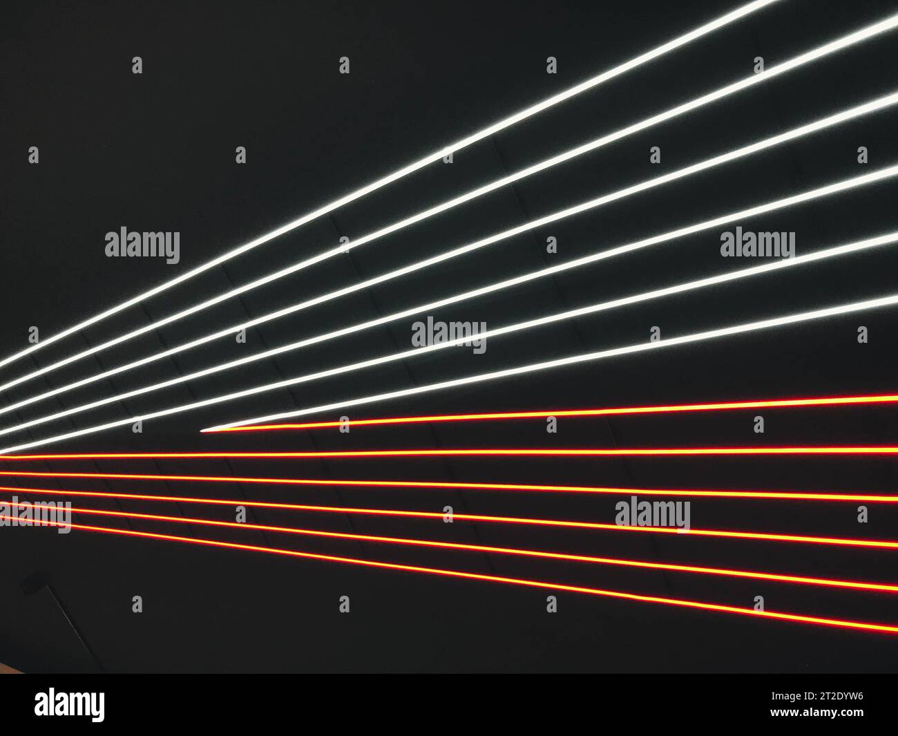 Abstract light rainbow trails in random motion background image. Striped Neon Lights in Rainbow ...