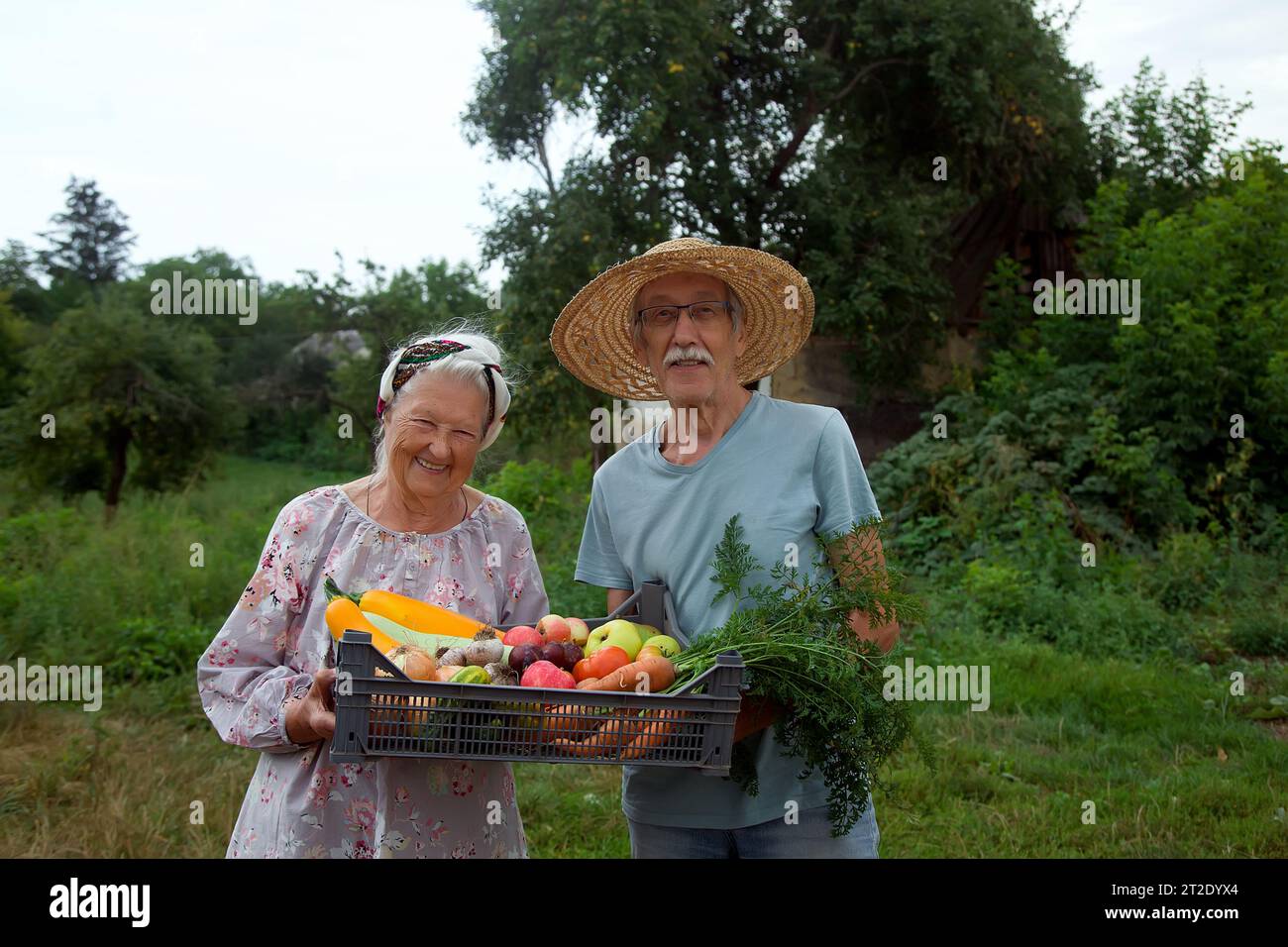 Happy elderly senior couple with this year's rich harvest. Farming ...