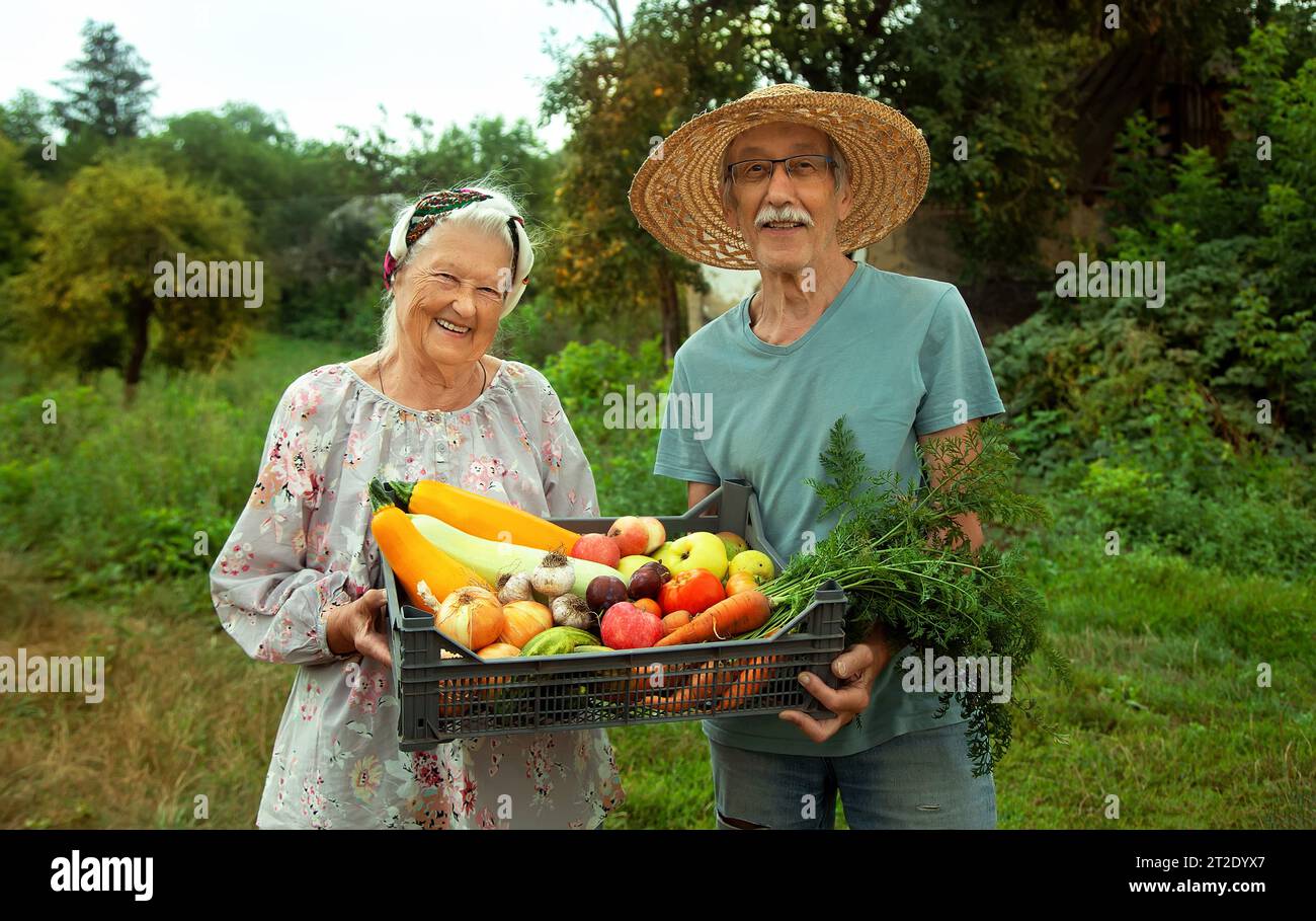 Happy elderly senior couple with this year's rich harvest. Farming ...