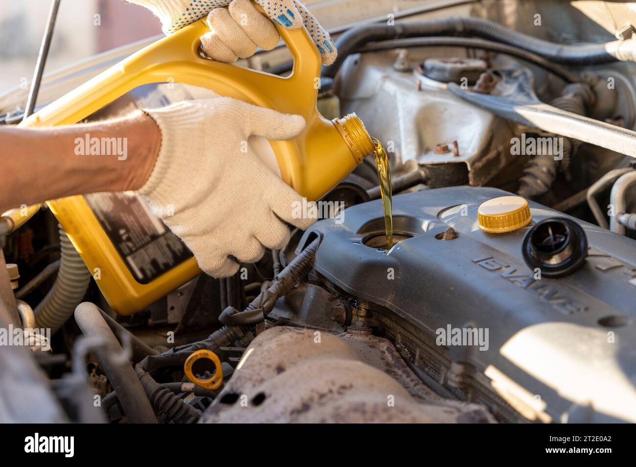 pouring fresh engine oil into the car engine. An auto mechanic performs ...