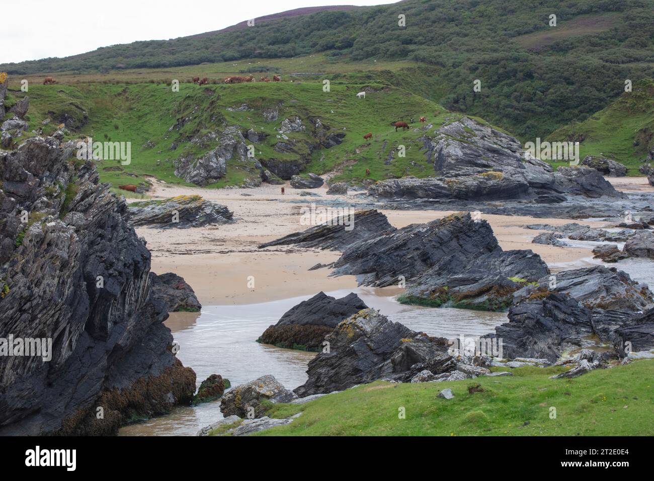 Spectacular gullies, arches and sea stacks characterise the coastline ...