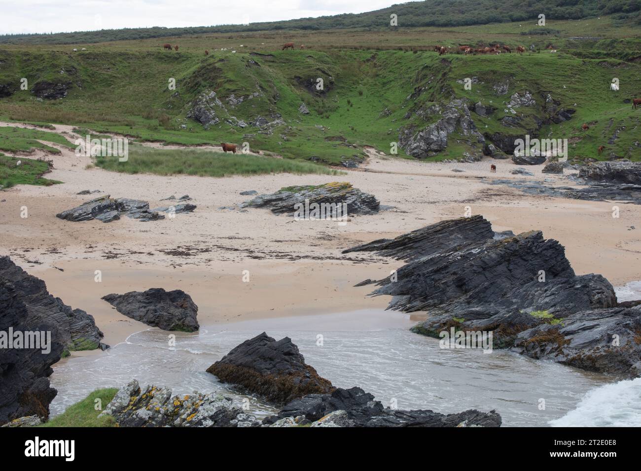 Spectacular gullies, arches and sea stacks characterise the coastline ...