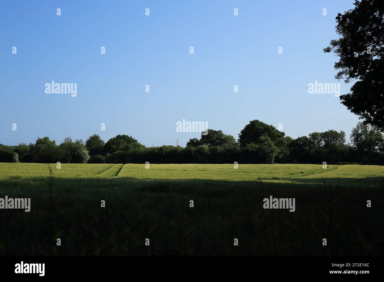 Misling lane hi-res stock photography and images - Alamy