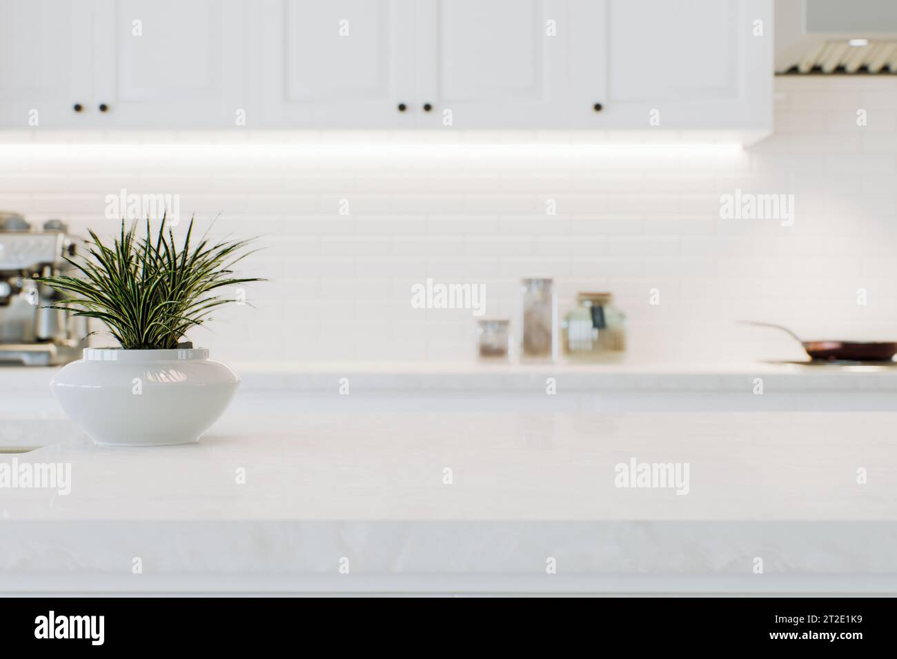 Modern white kitchen countertop with indoor plants Stock Photo - Alamy