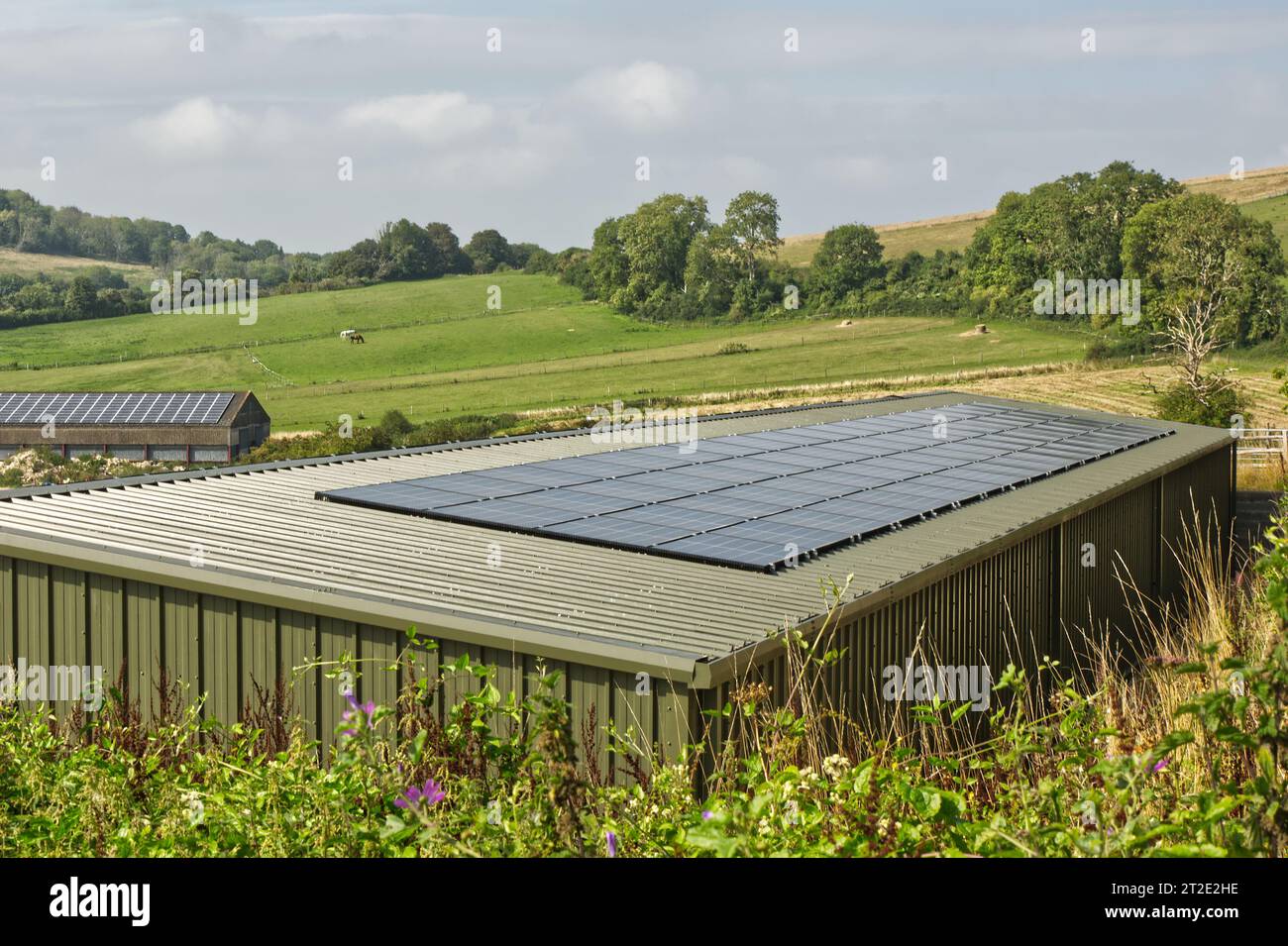 Solar panel array on solar farm hi-res stock photography and images - Alamy