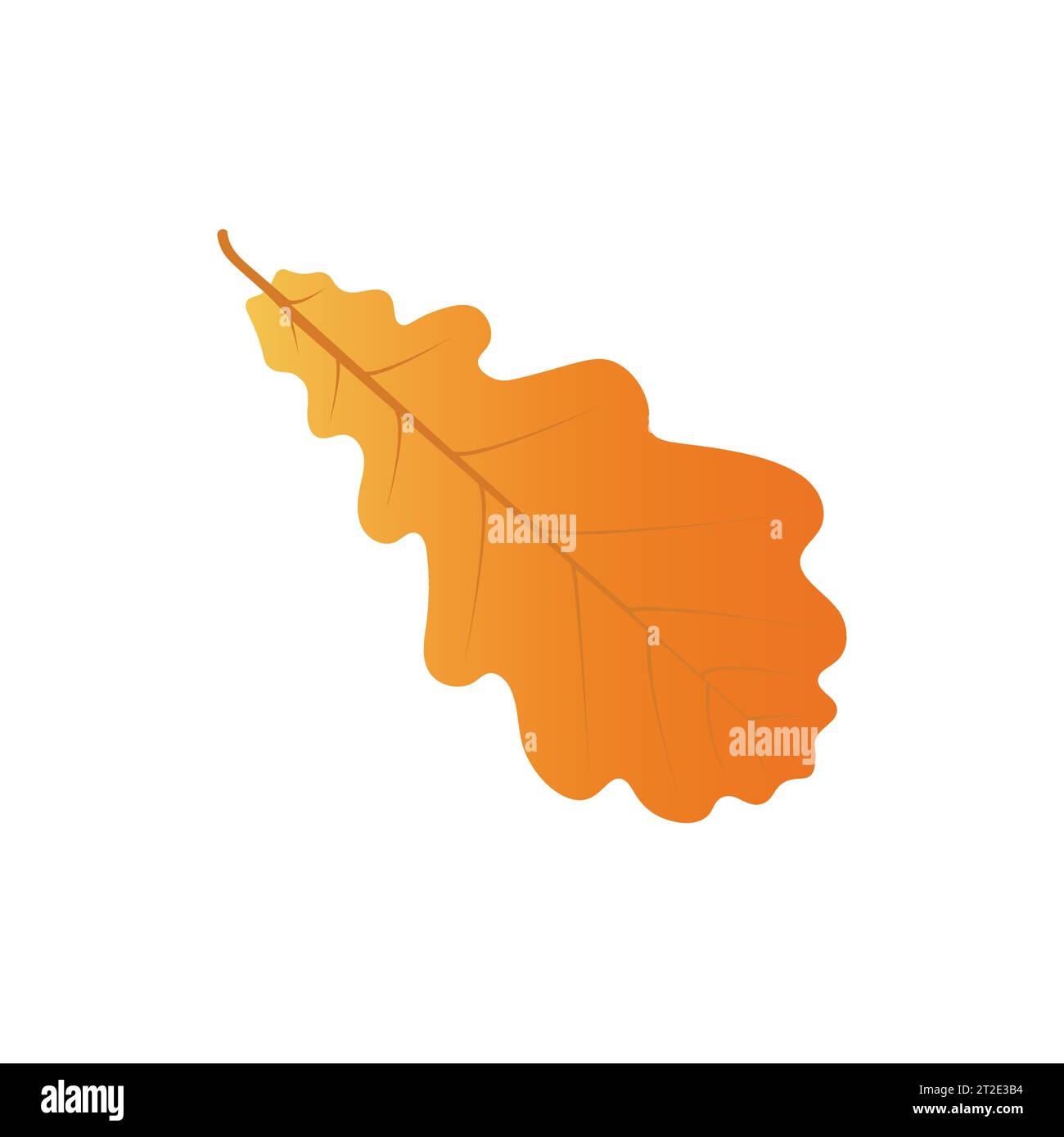 Wavy leaf oak Stock Vector Images - Alamy