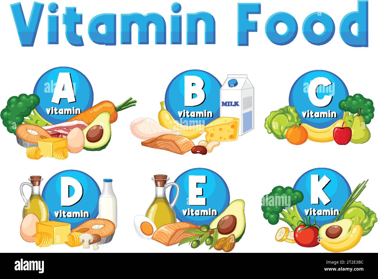 Illustration showcasing vitamins and their food sources Stock Vector ...