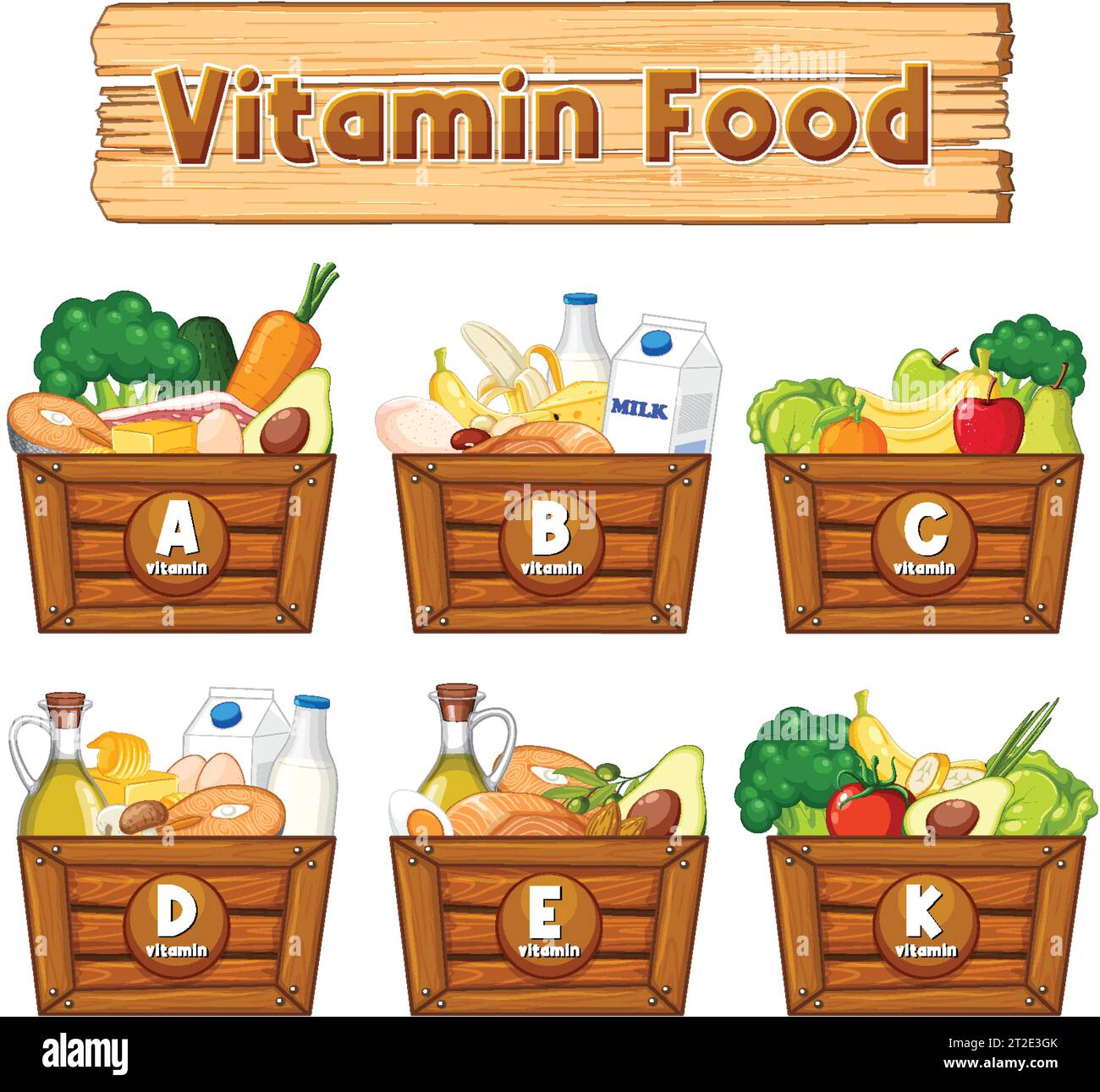 Illustration showcasing vitamins and their food sources Stock Vector ...