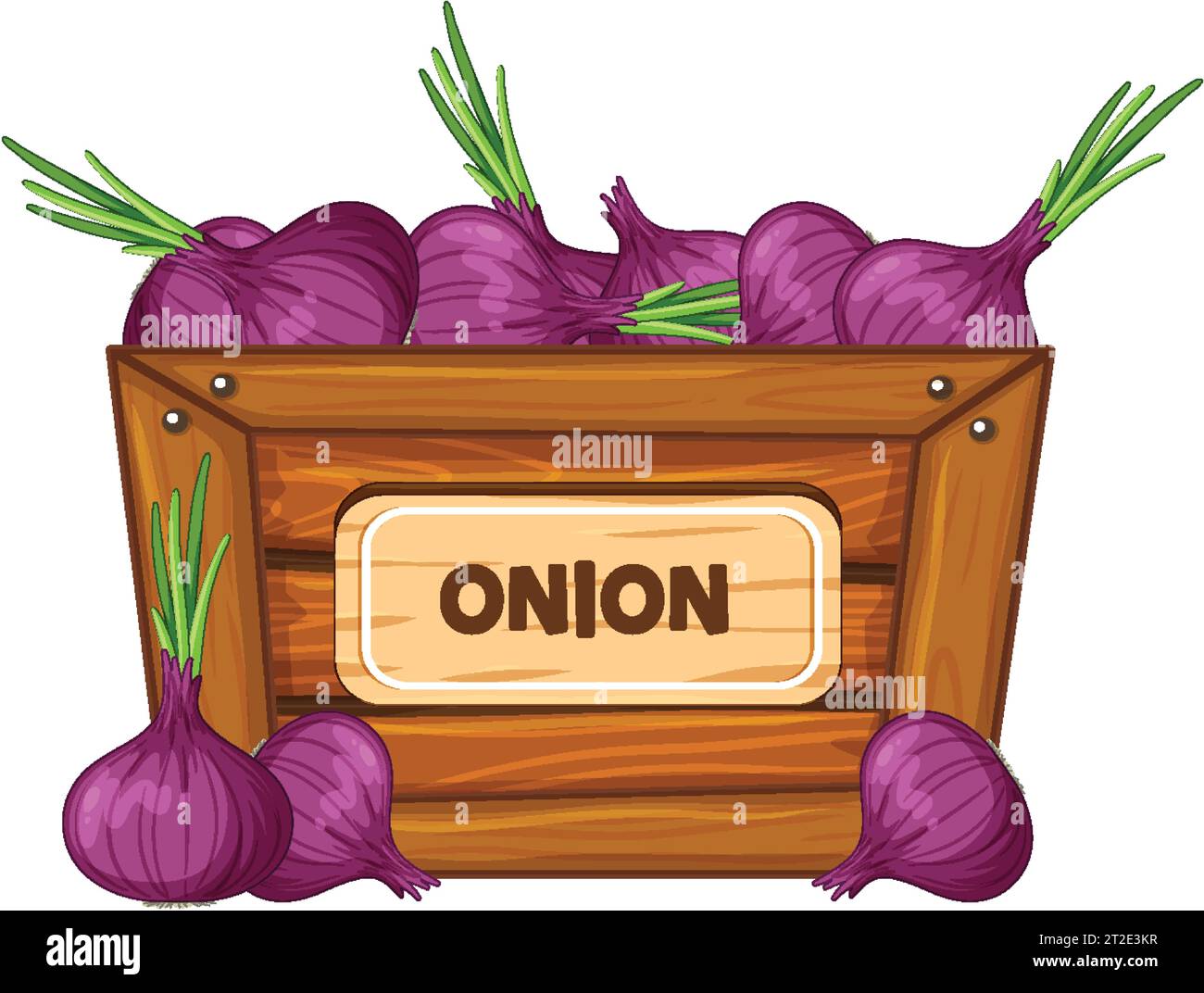 Illustration of shallots in a wooden box with a sign banner Stock ...