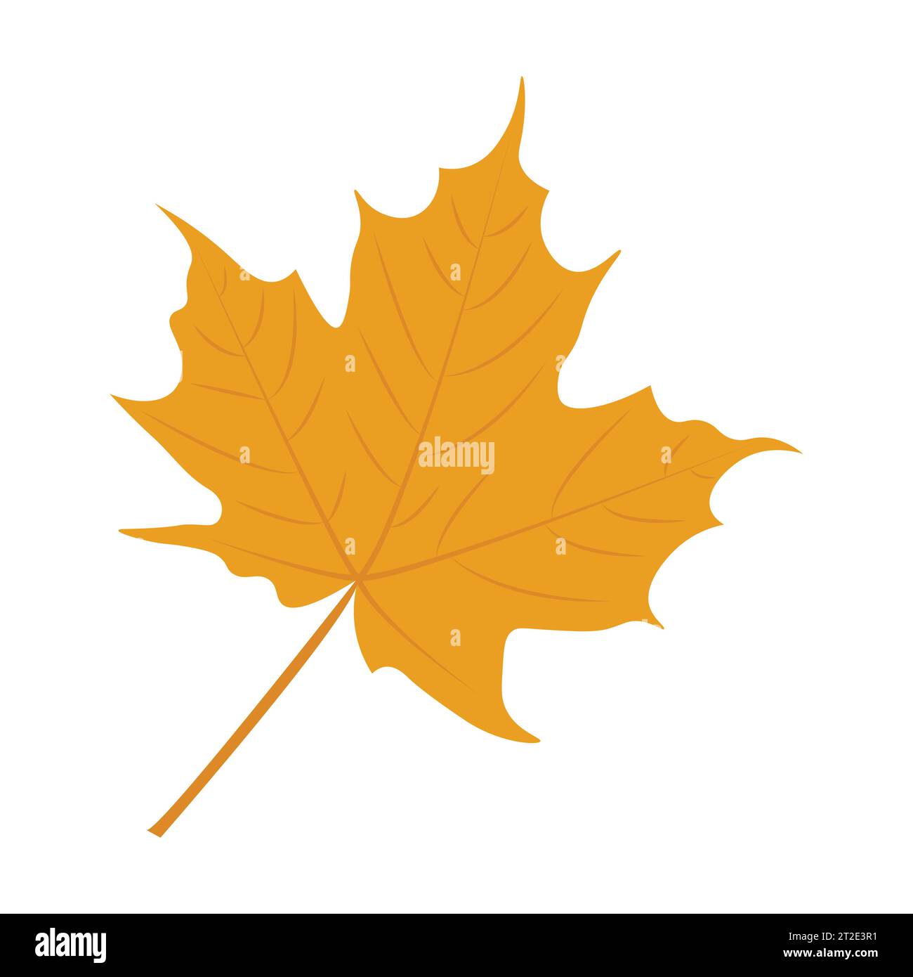 Autumn leaf. Autumn maple leaf isolated on a white background. Vector illustration Stock Vector ...