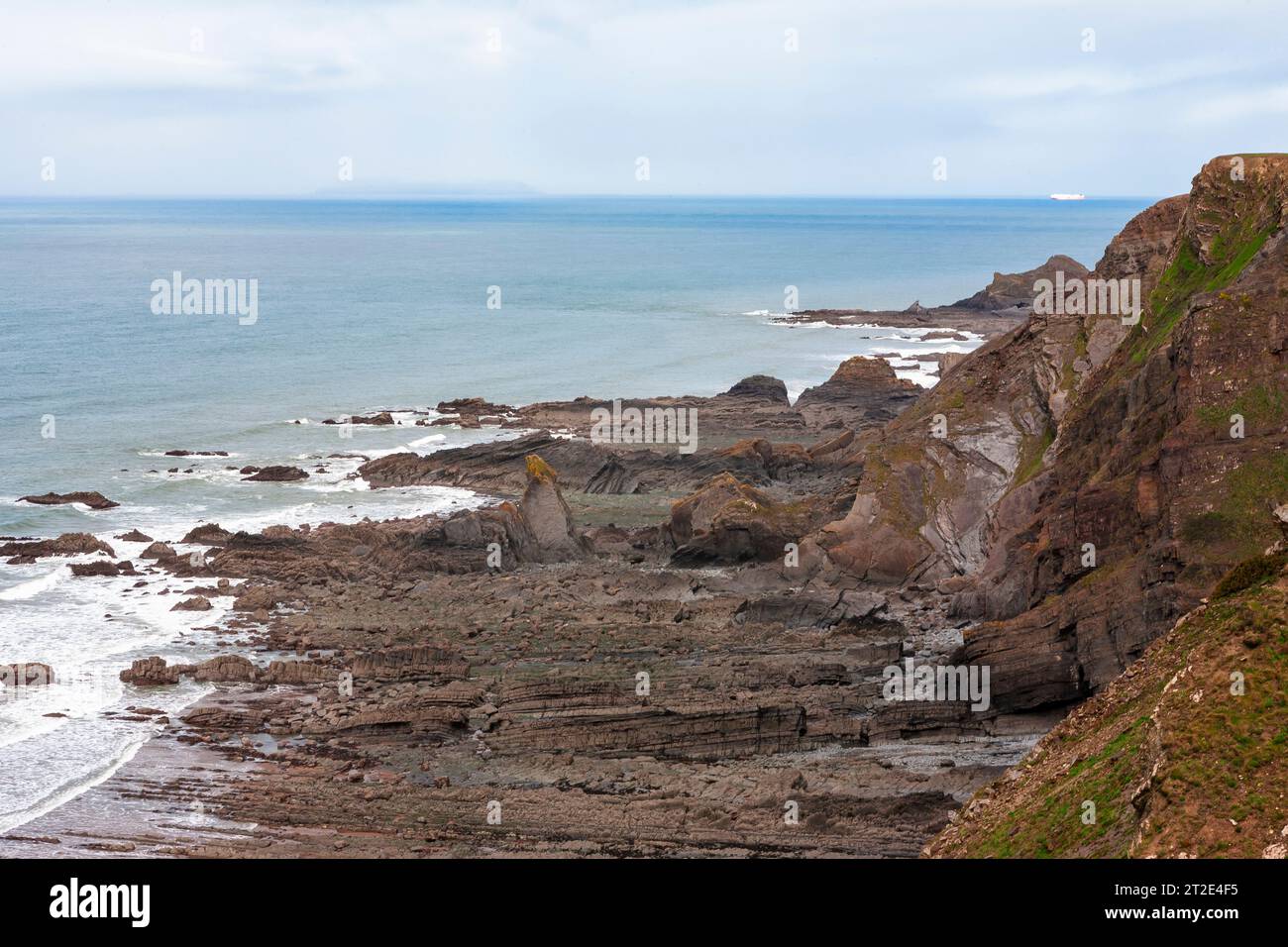 Low tide at Warren Beach near Hartland Quay, North Devon coast, UK Stock Photo - Alamy