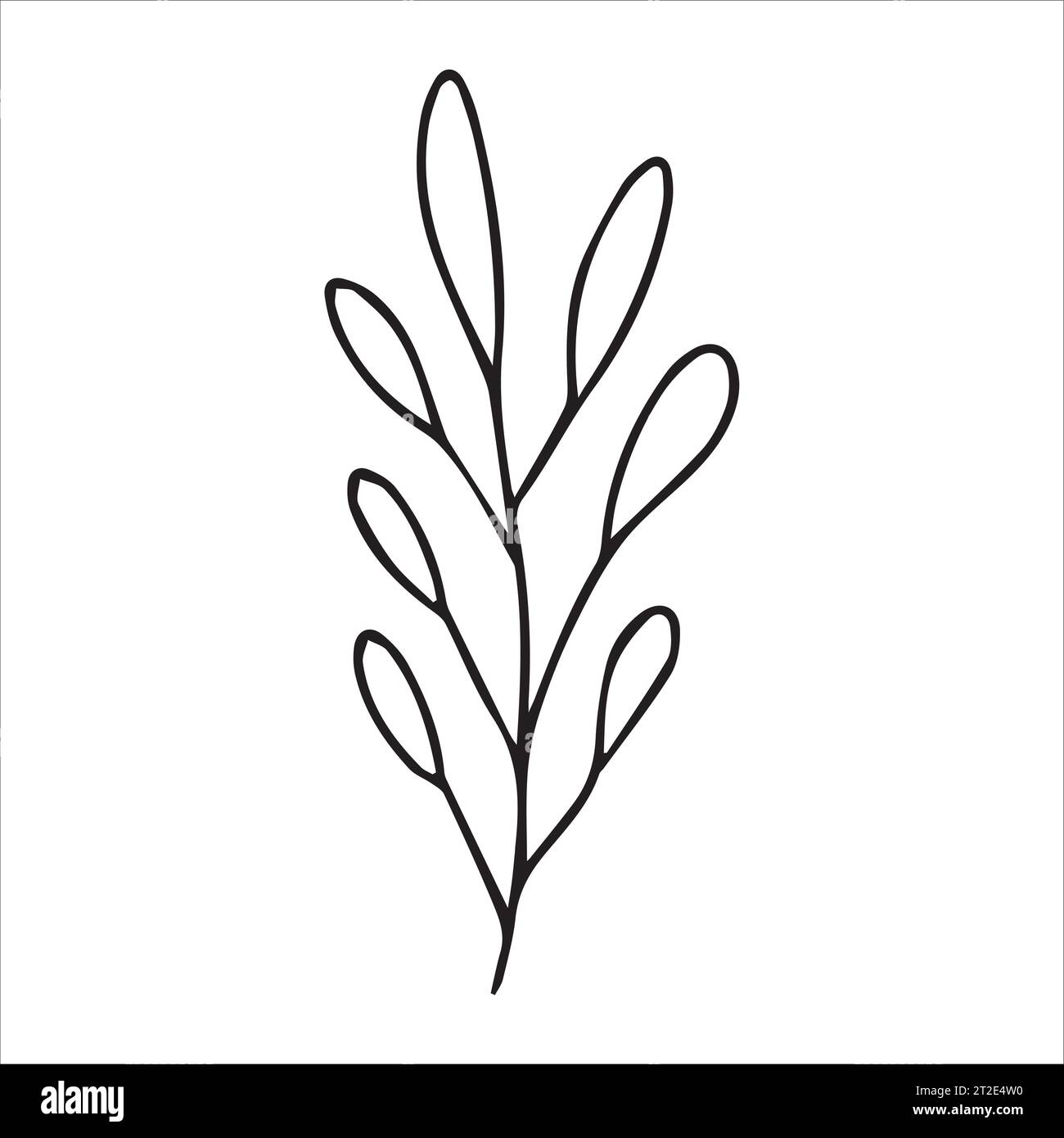 Cute doodle style twig. Vector illustration for postcard decor.Vector ...
