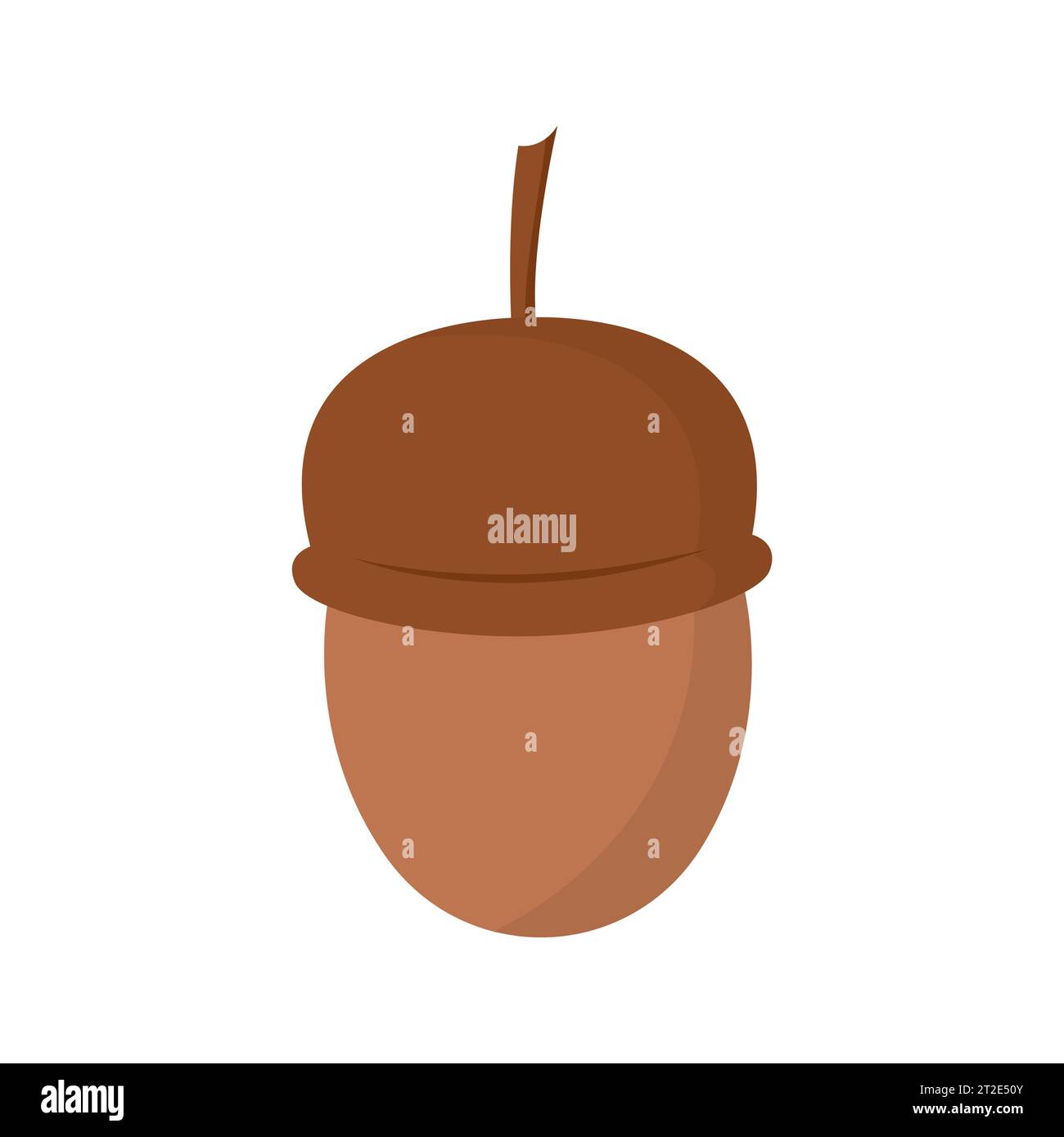 Cartoon brown acorn element. Autumn symbol. Stock vector illustration Isolated on white ...