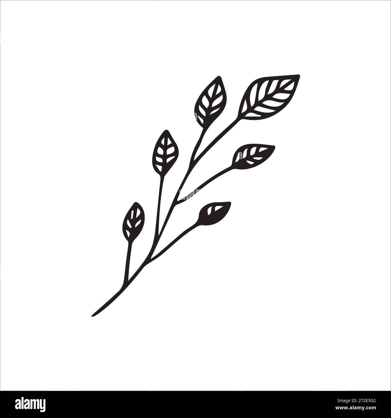 Cute doodle style twig. Vector illustration for postcard decor.Vector ...