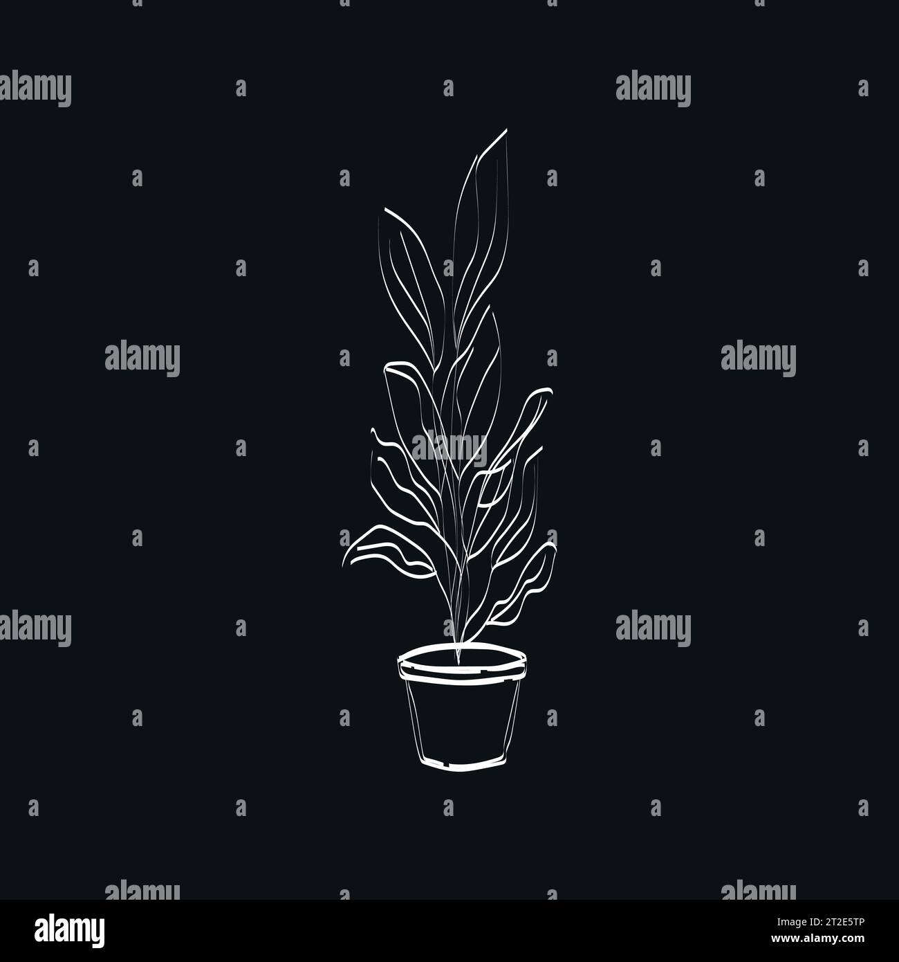 Ficus flower, plant in the pot. Continuous line drawing. Vector ...