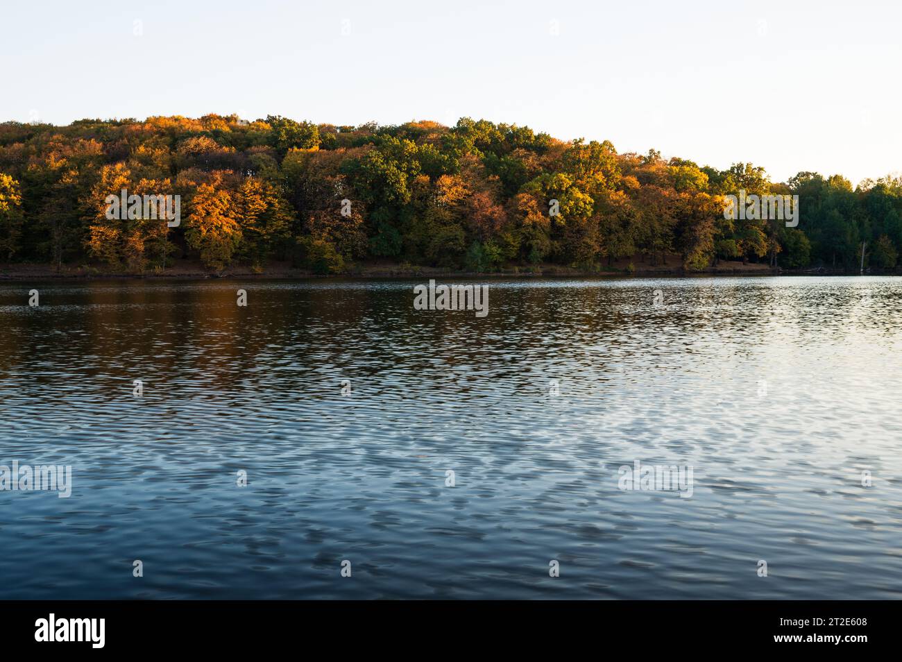 Last rays of sun on bank of lake with forest. Beautiful scenic ...