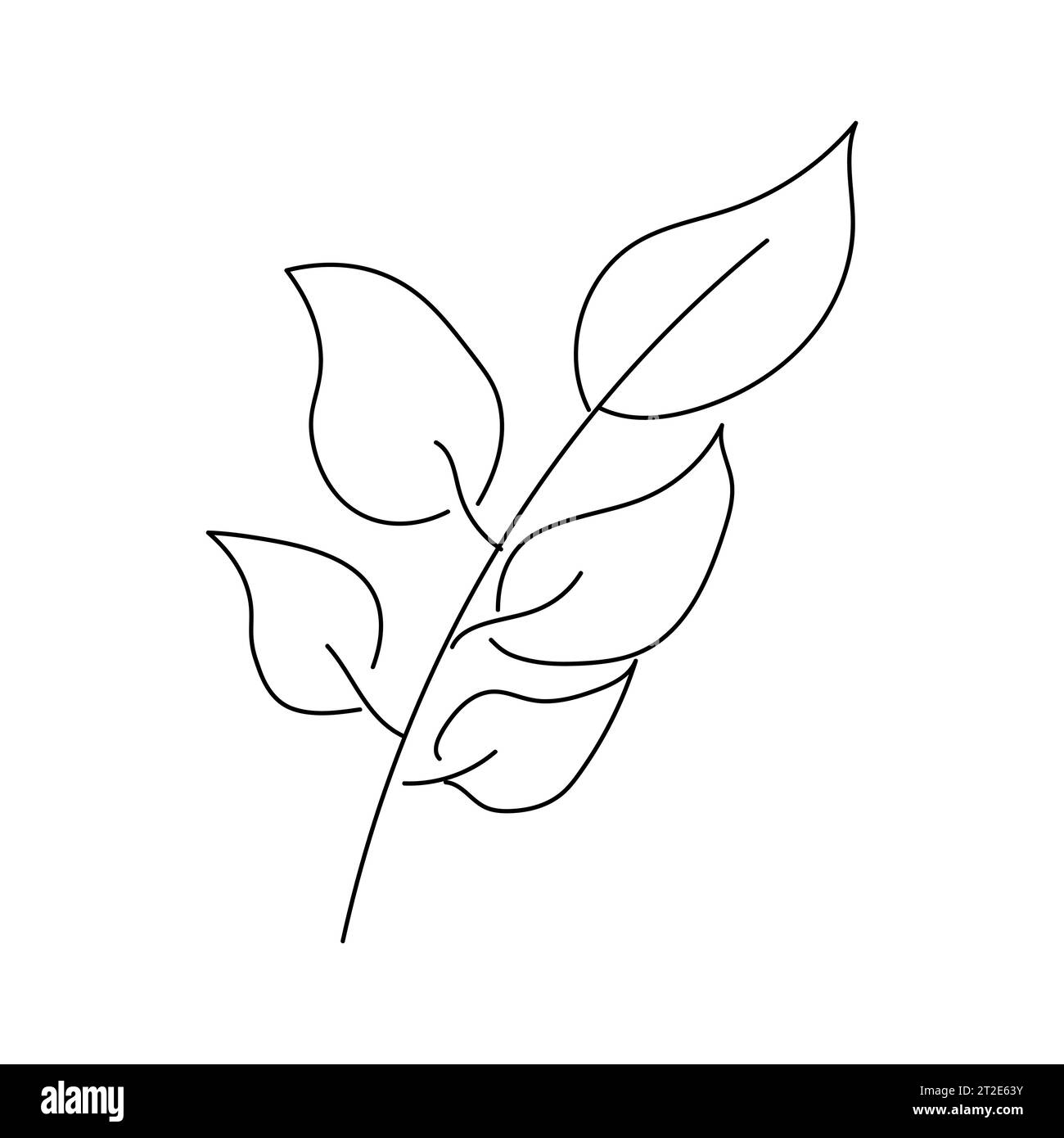 Elegant abstract branch plant drawn by one line. Continuous line ...
