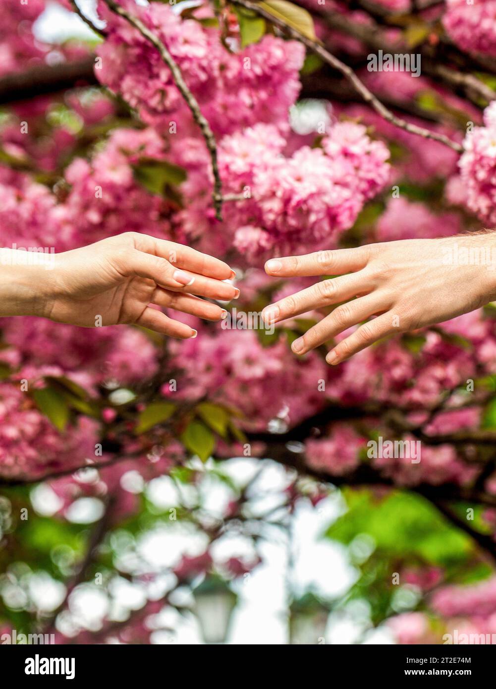 Man holds the woman's hand. Family relationships. Hands, spring, love ...