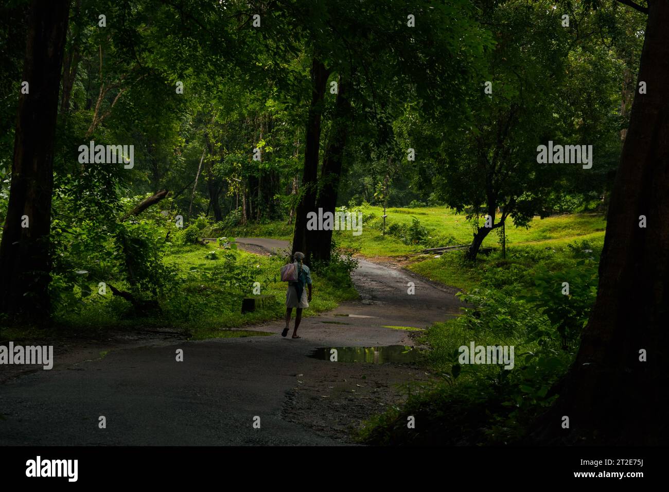 Old man walking hi-res stock photography and images - Alamy