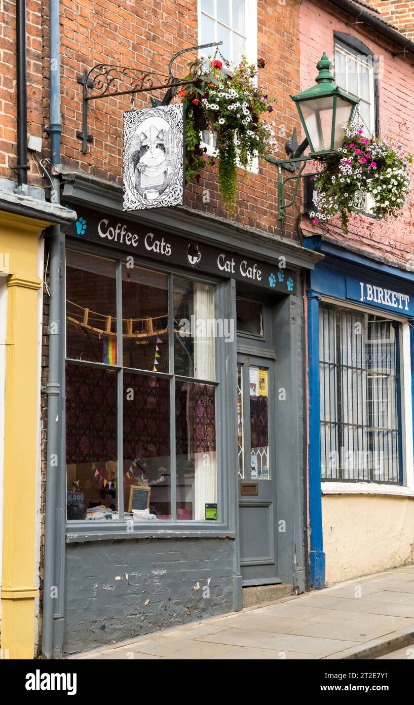 Coffee Cats Cat Cafe, The Strait, Lincoln City, Lincolnshire, England ...