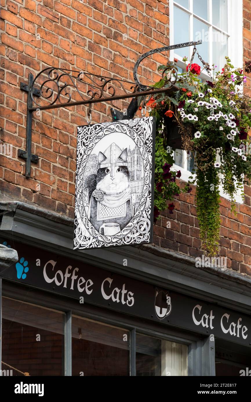 Hanging sign advertising Coffee Cats cat cafe, The strait, Lincoln City ...