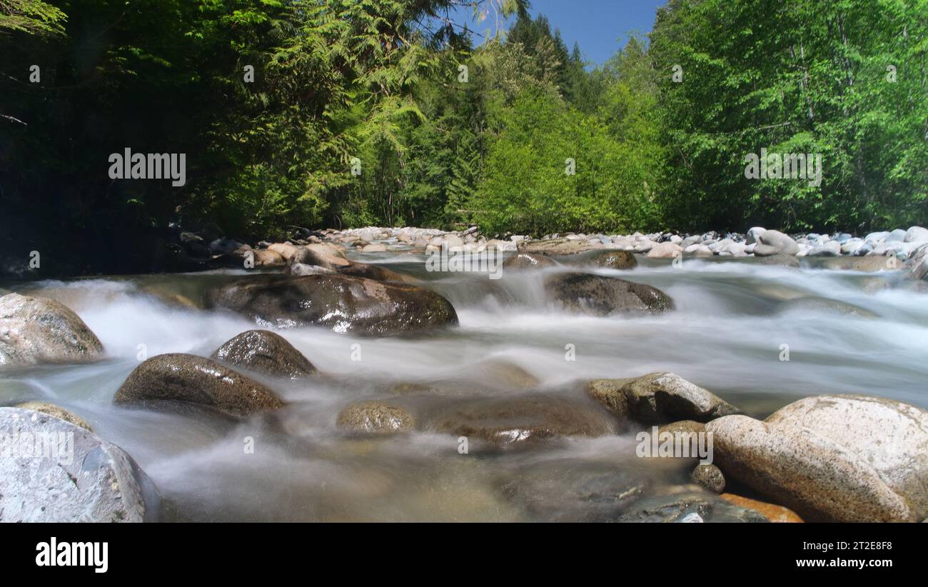 Lynn Canyon Park Vancouver Stock Photo - Alamy