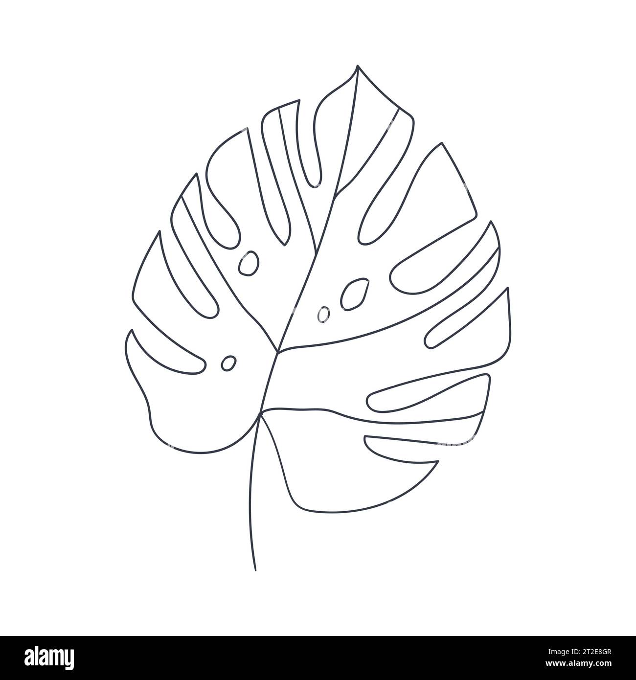 Monstera leaf line art. Contour drawing. abstract tropical leaf ...