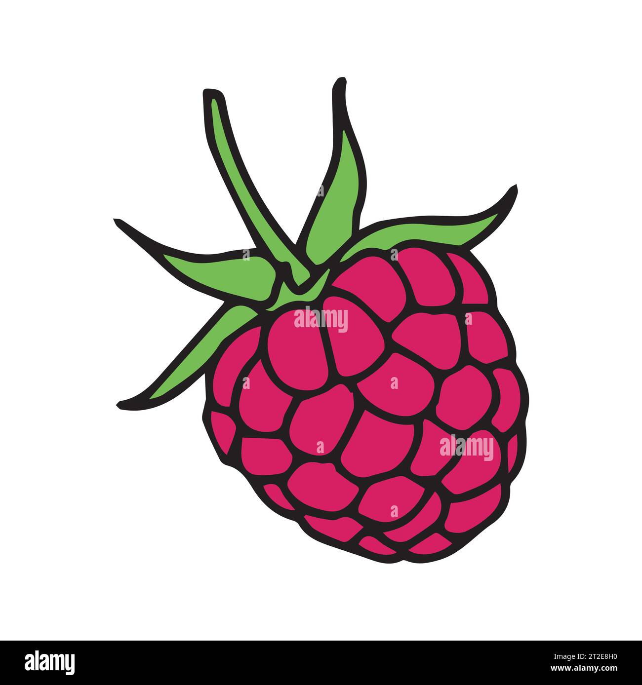 raspberries. White background with raspberry. Vector illustration Stock ...