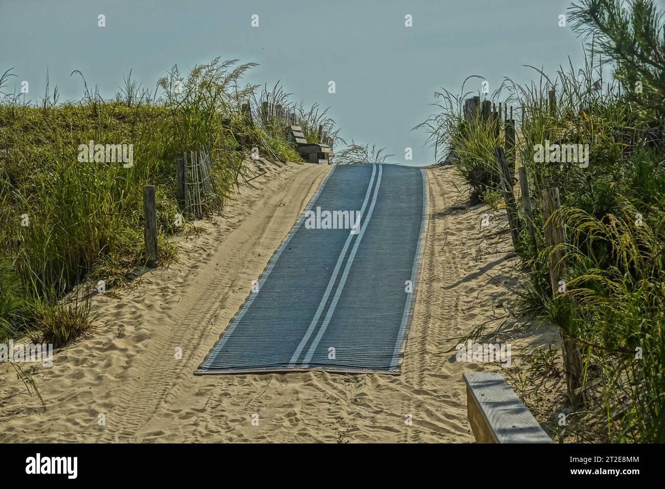 A picture of a sandy road with a dark asphalt section running along the ...
