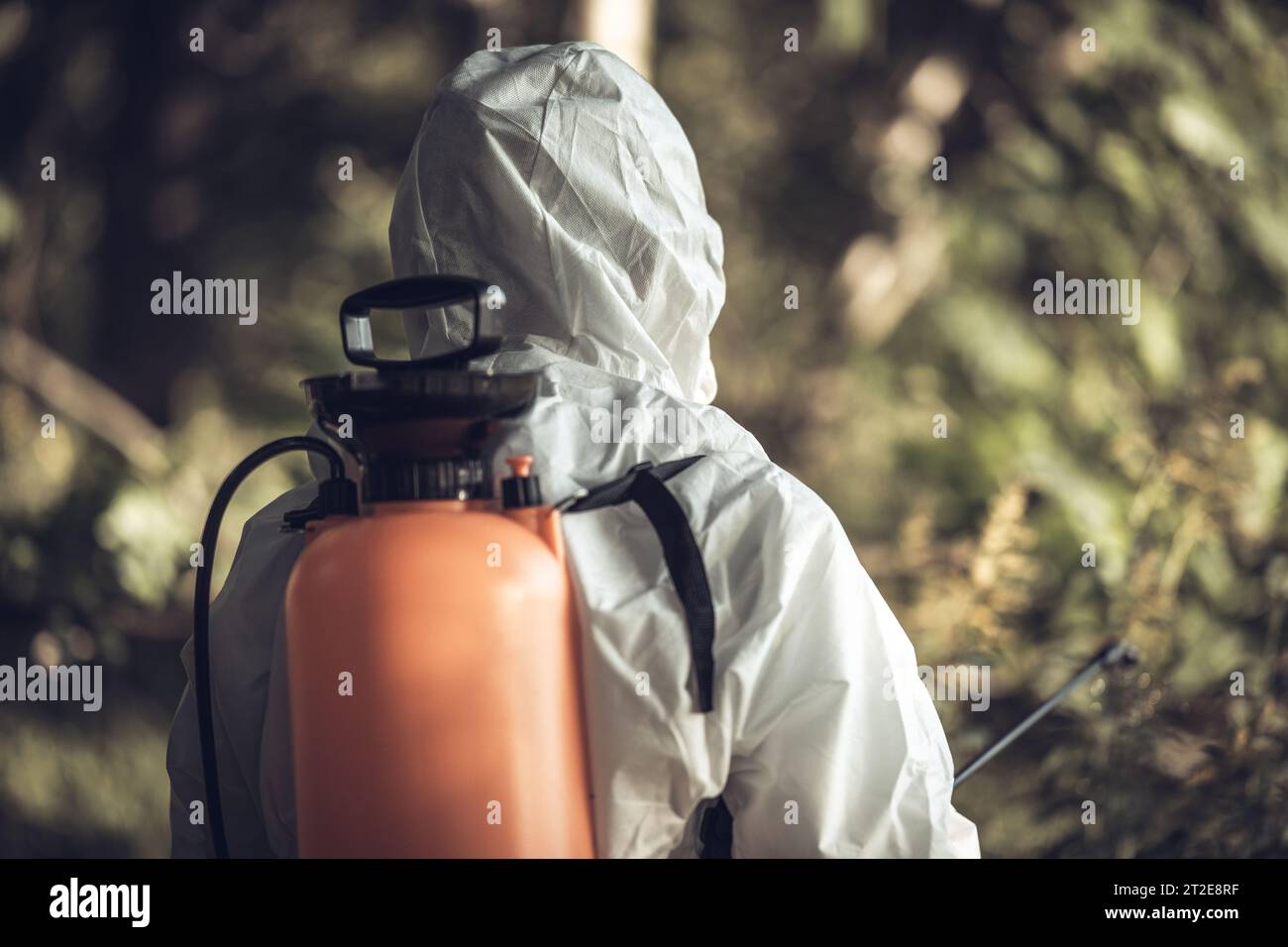 A worker sprays pesticides on trees outdoors. Tree pest control Stock ...