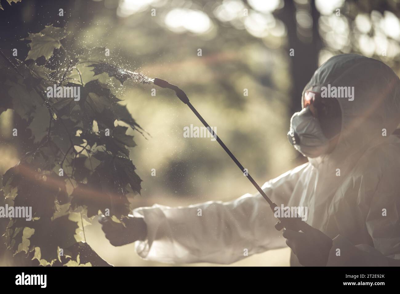 A worker sprays pesticides on trees outdoors. Tree pest control Stock ...