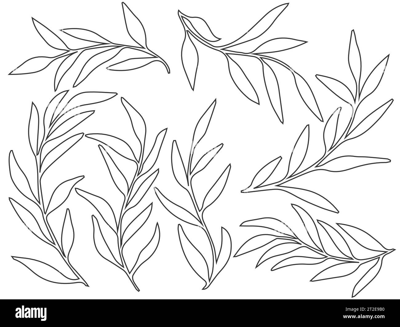 Set of abstract twigs with leaves isolated on a white background ...