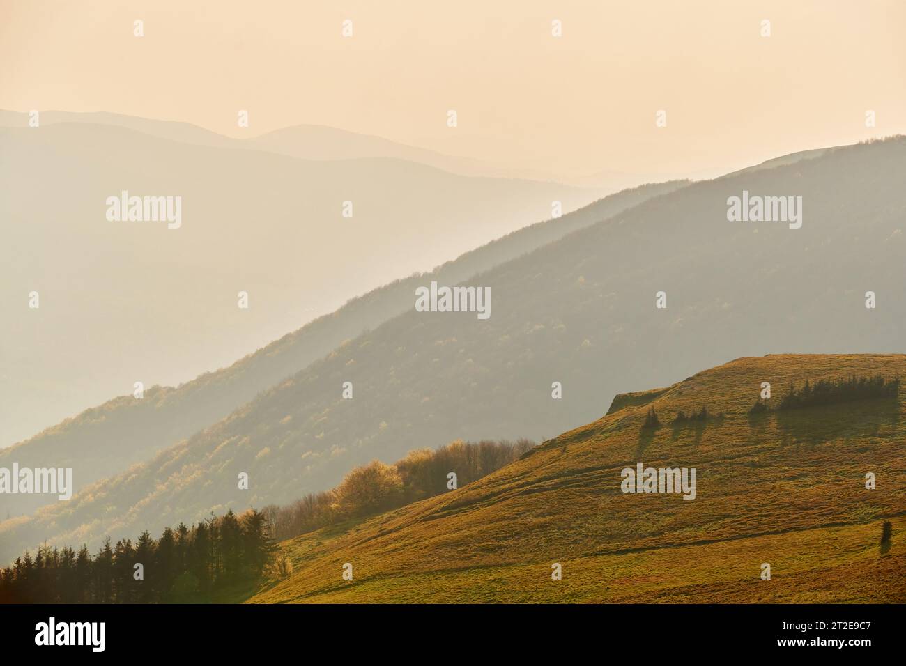 Misty morning mountain landscape captures natural tranquility Stock ...