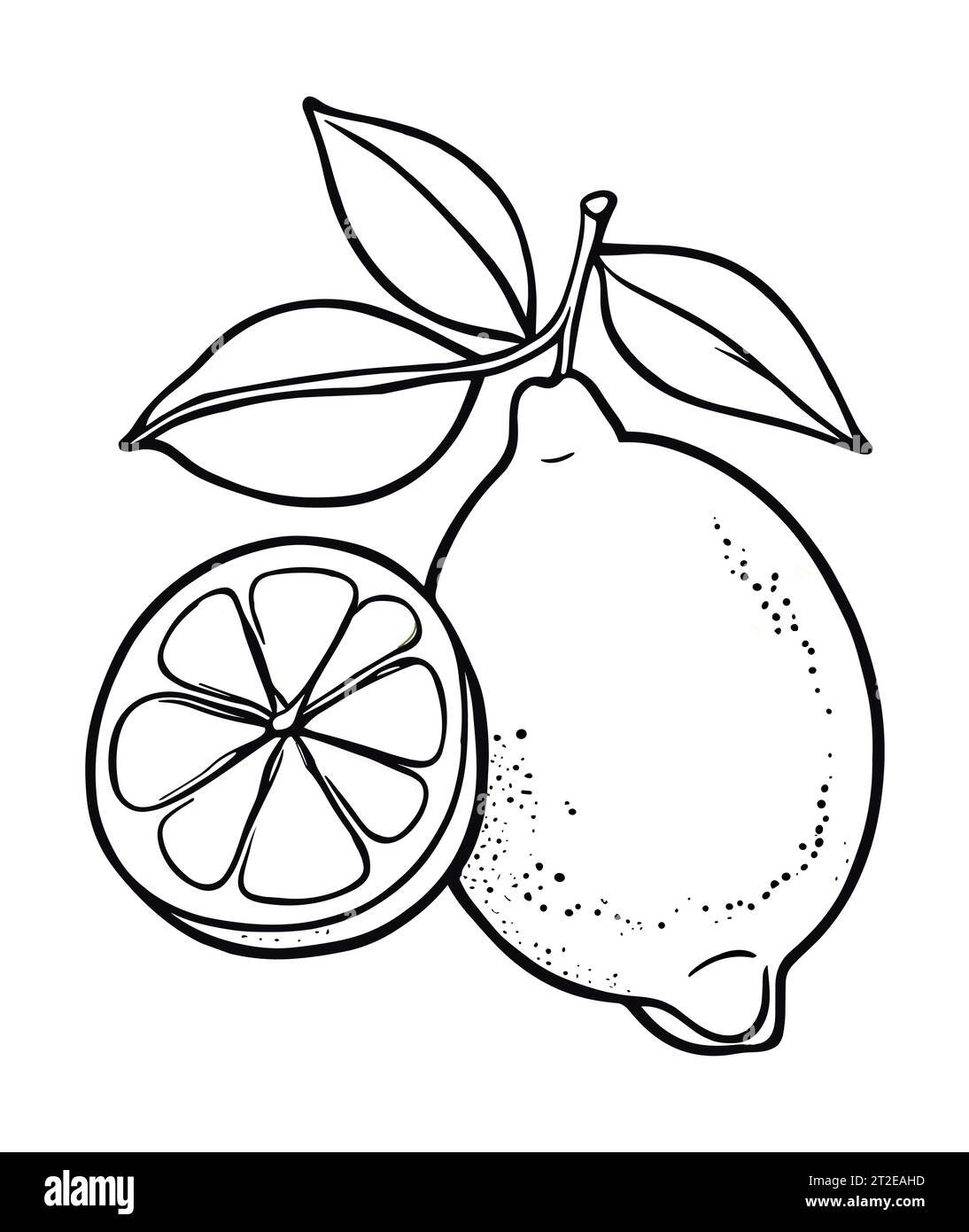 Lemon, lime citrus fruit vector black icon Stock Vector Image & Art - Alamy