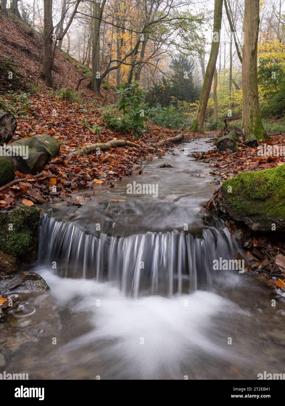 Rectory woods hi-res stock photography and images - Alamy