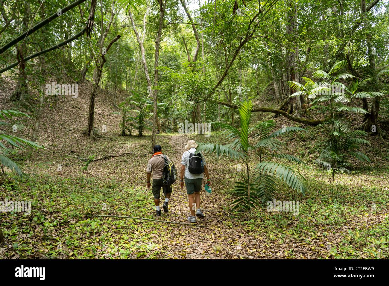 Sacbe guatemala maya hi-res stock photography and images - Alamy