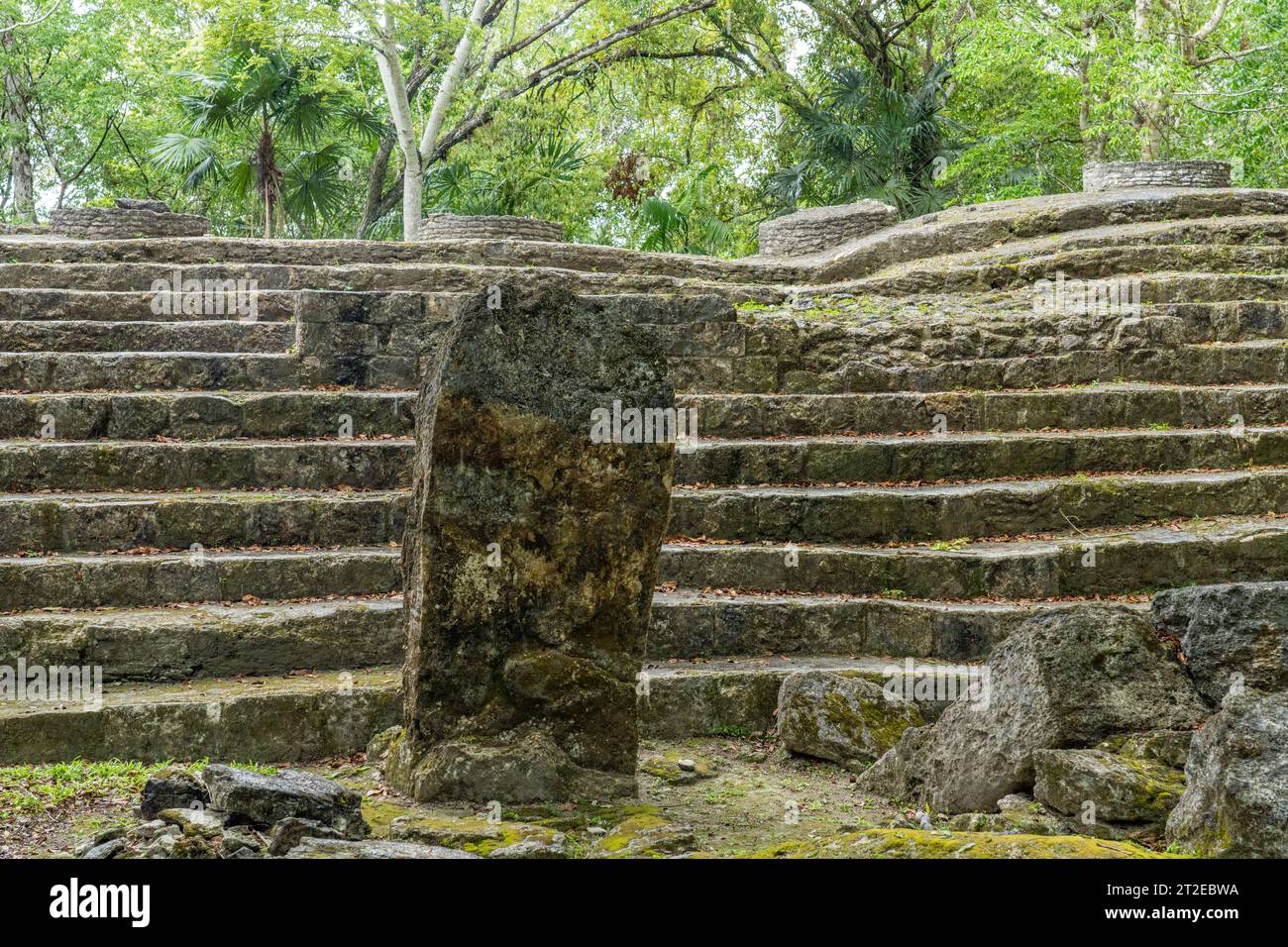Stela 36 and Temple of the Columns in Plaza B of the Mayan ruins in ...