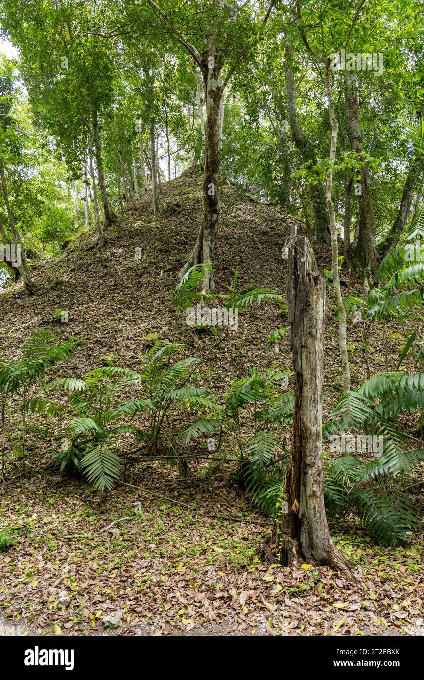 Trees grow on the unexcavated ruin mounds in the Mayan ruins in Yaxha ...