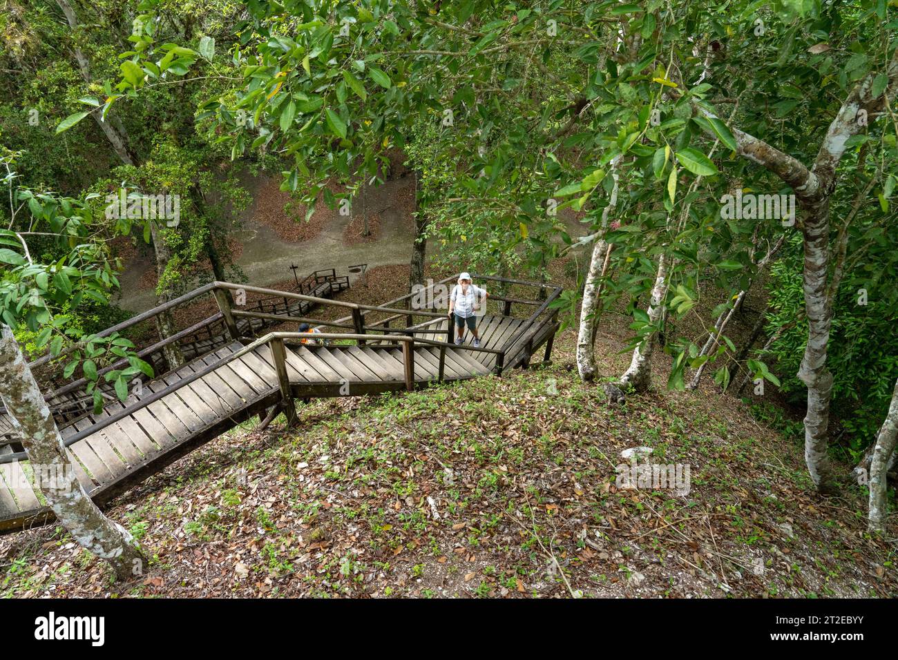 Stairway to the top of of Structure 117 in the Mayan ruins in Yaxha ...