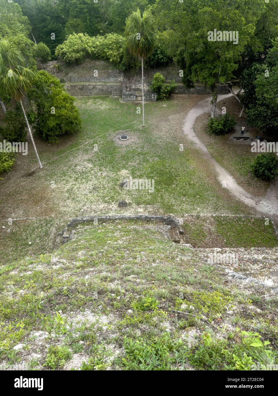 View of Plaza E from the top of Structure 216 in the Mayan ruins in ...