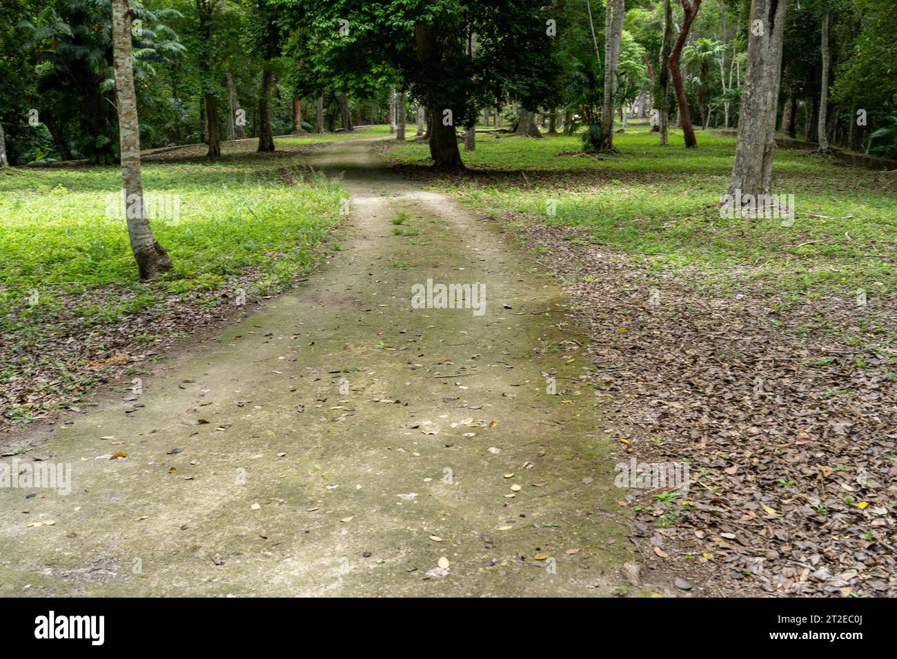 Sacbe guatemala maya hi-res stock photography and images - Alamy