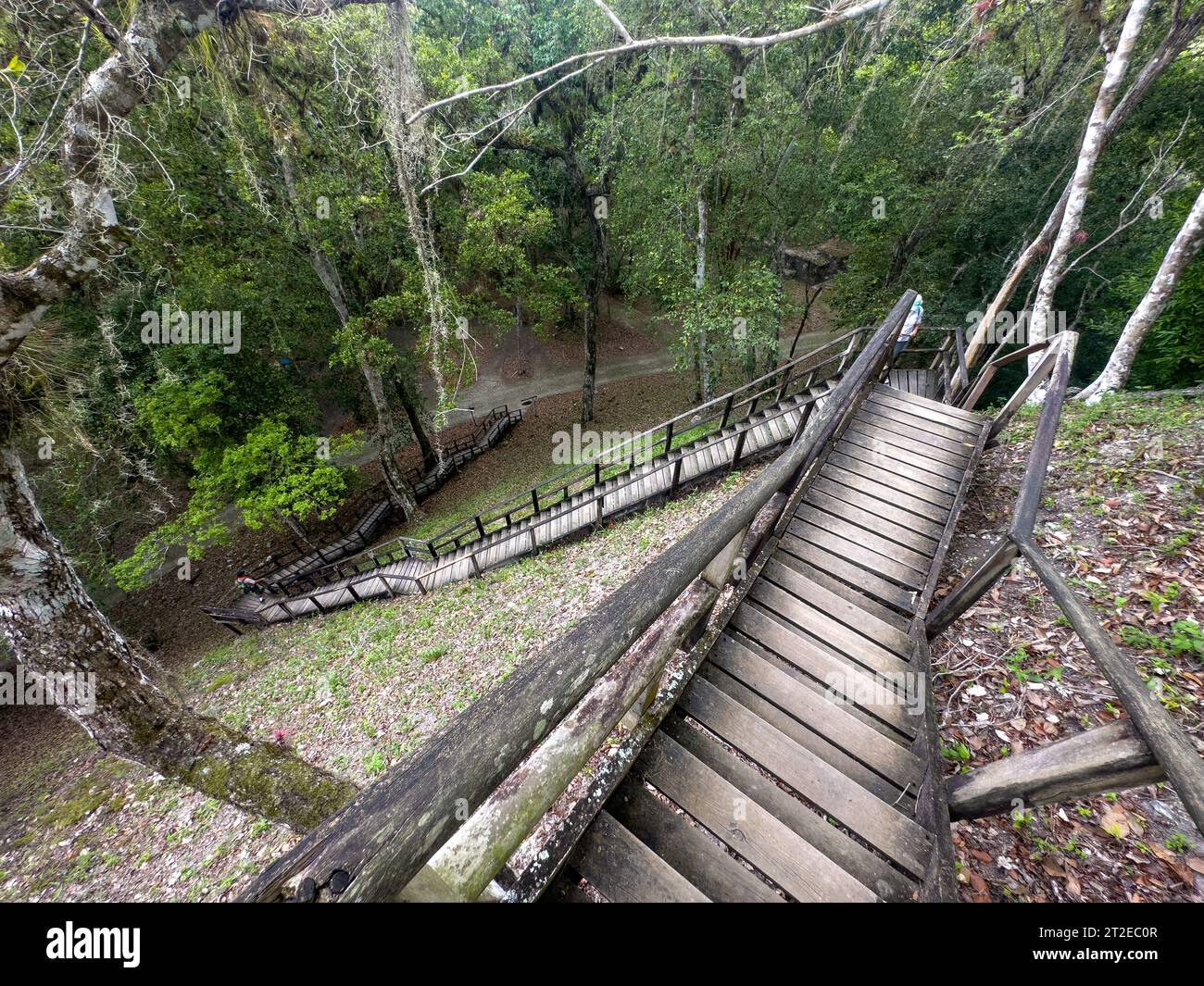 Stairway to the top of of Structure 117 in the Mayan ruins in Yaxha ...