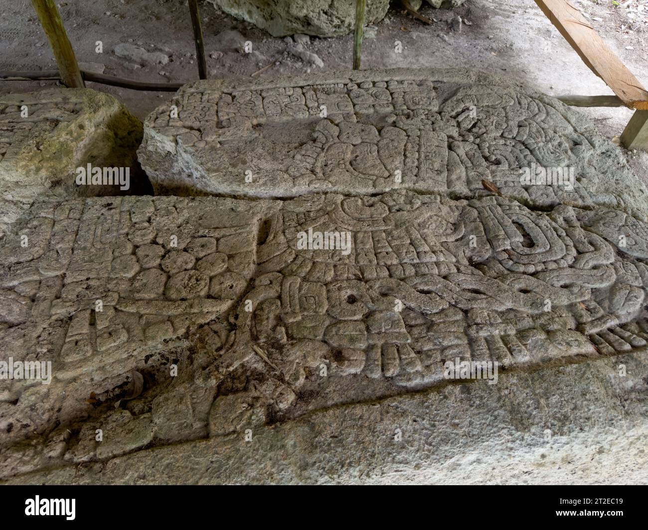 A carved stone stela depicting a warrior in Plaza A of the Mayan ruins ...