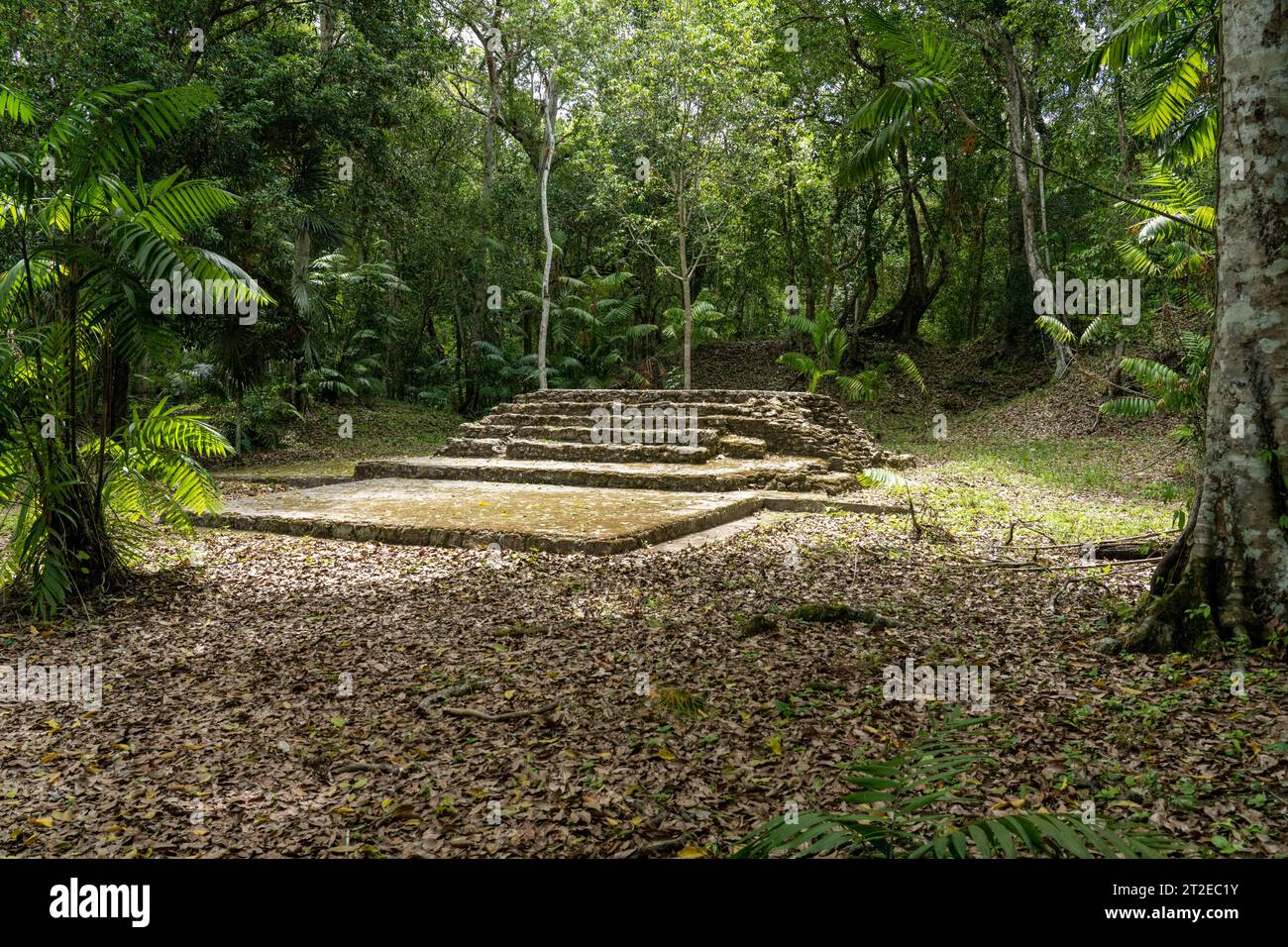 Yaxha nakun naranjo national park hi-res stock photography and images ...