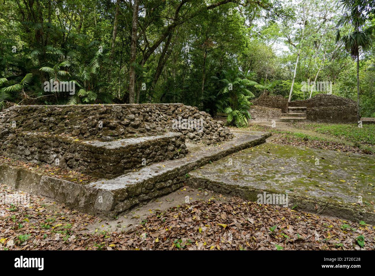 Maya structures hi-res stock photography and images - Alamy